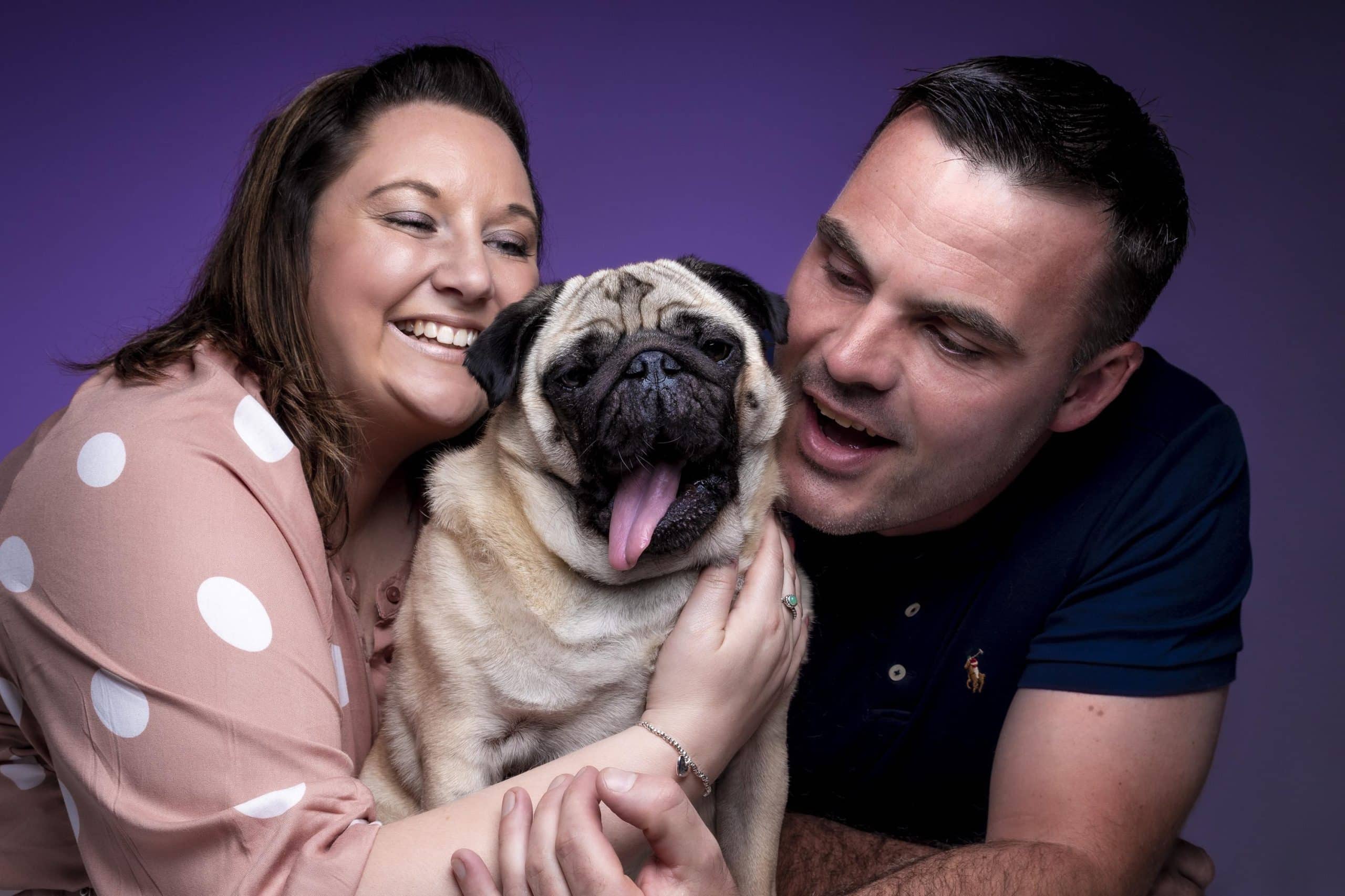 DOUBLE SUCCESS FOR NORTHWEST VETS AS CRIPPLED PUGS WALK AGAIN ...